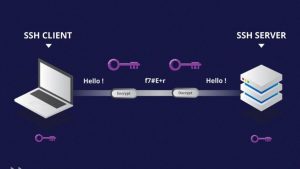 Cách tạo SSH Key và xác thực kết nối bằng bộ Public/Private Key